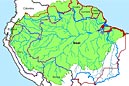 Das Amazonas-Gebiet in Zahlen und Fakten - Natur - derStandard.at ...