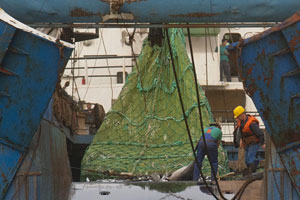 "Das sind schwimmende Fischfabriken" - Tiere - derStandard.at › Panorama