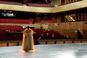 Linzer Musiktheater: Ganz große Oper - Musiktheater - derStandard.at ...