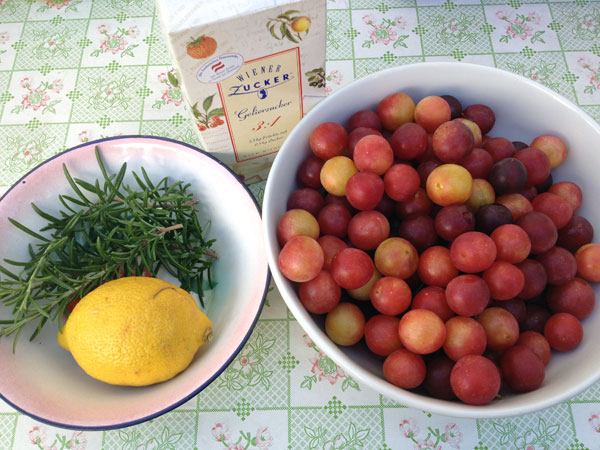 Rezept für Kriecherlgelee mit Rosmarin - Einkochen - derStandard.at ...