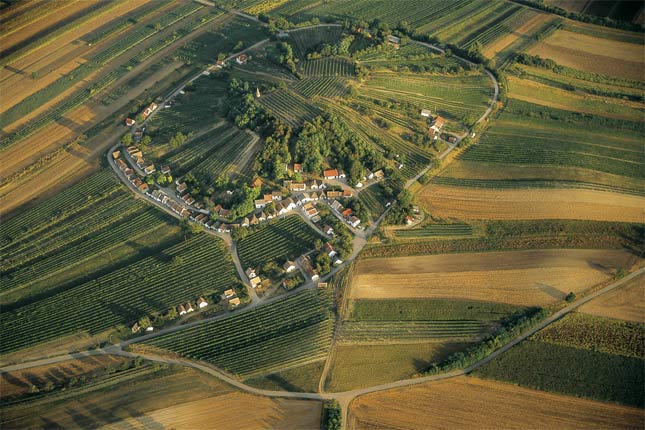 Galgenberg: Erste "Kellergasse des Jahres" - Urlaub in Niederösterreich ...