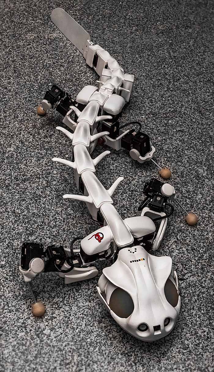 Bionik: Roboter bewegt sich nach Art eines Salamanders - Technik ...