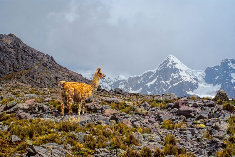 Peru: In den Anden dem Göttlichen näher kommen - Reisen nach Südamerika ...