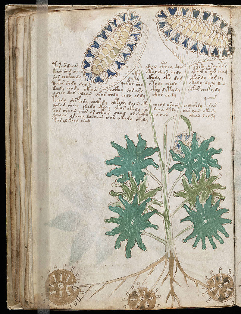 Das Voynich-Manuskript wurde in mehreren Sprachen verfasst - Zeit ...