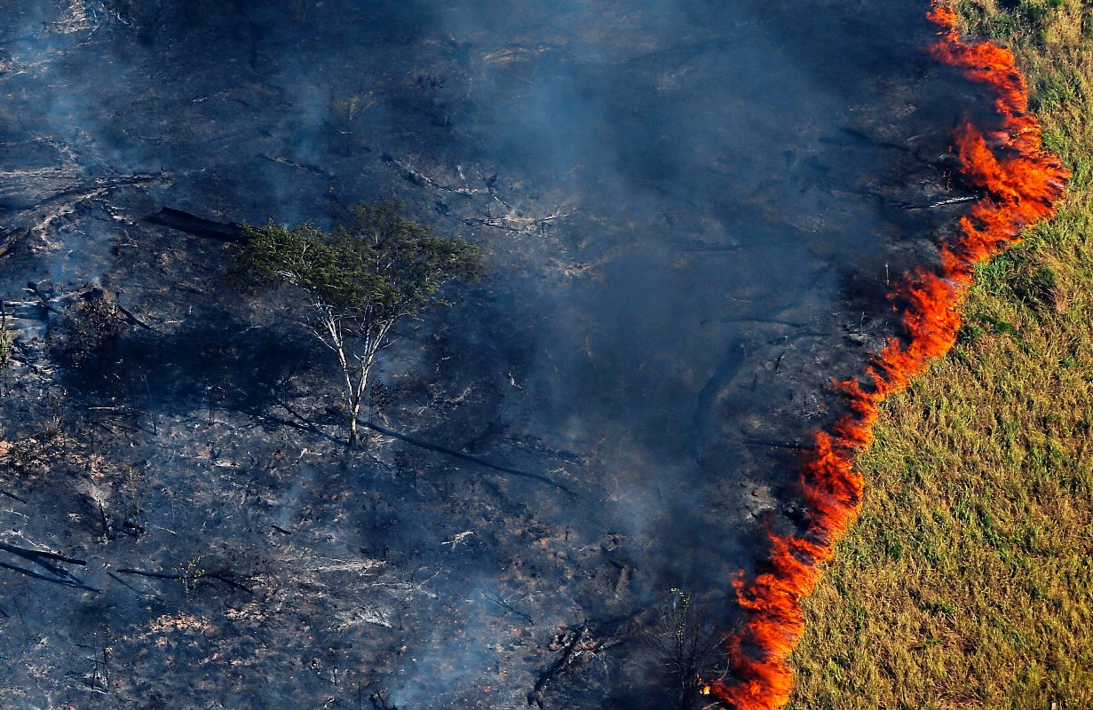 Was hinter Brasiliens verfehlter Amazonas-Politik steckt - Wissen und ...