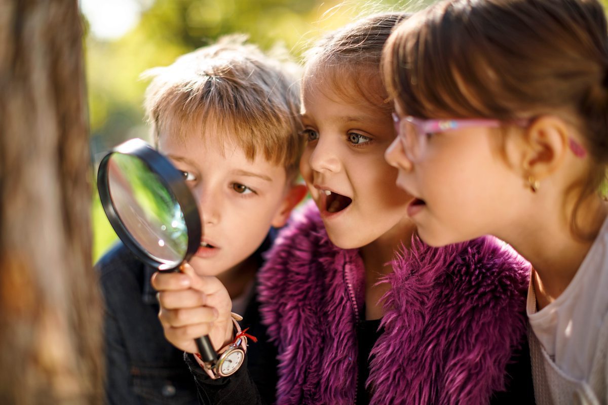 Warum neugierige Kinder die besseren Noten haben - Kind - derStandard ...