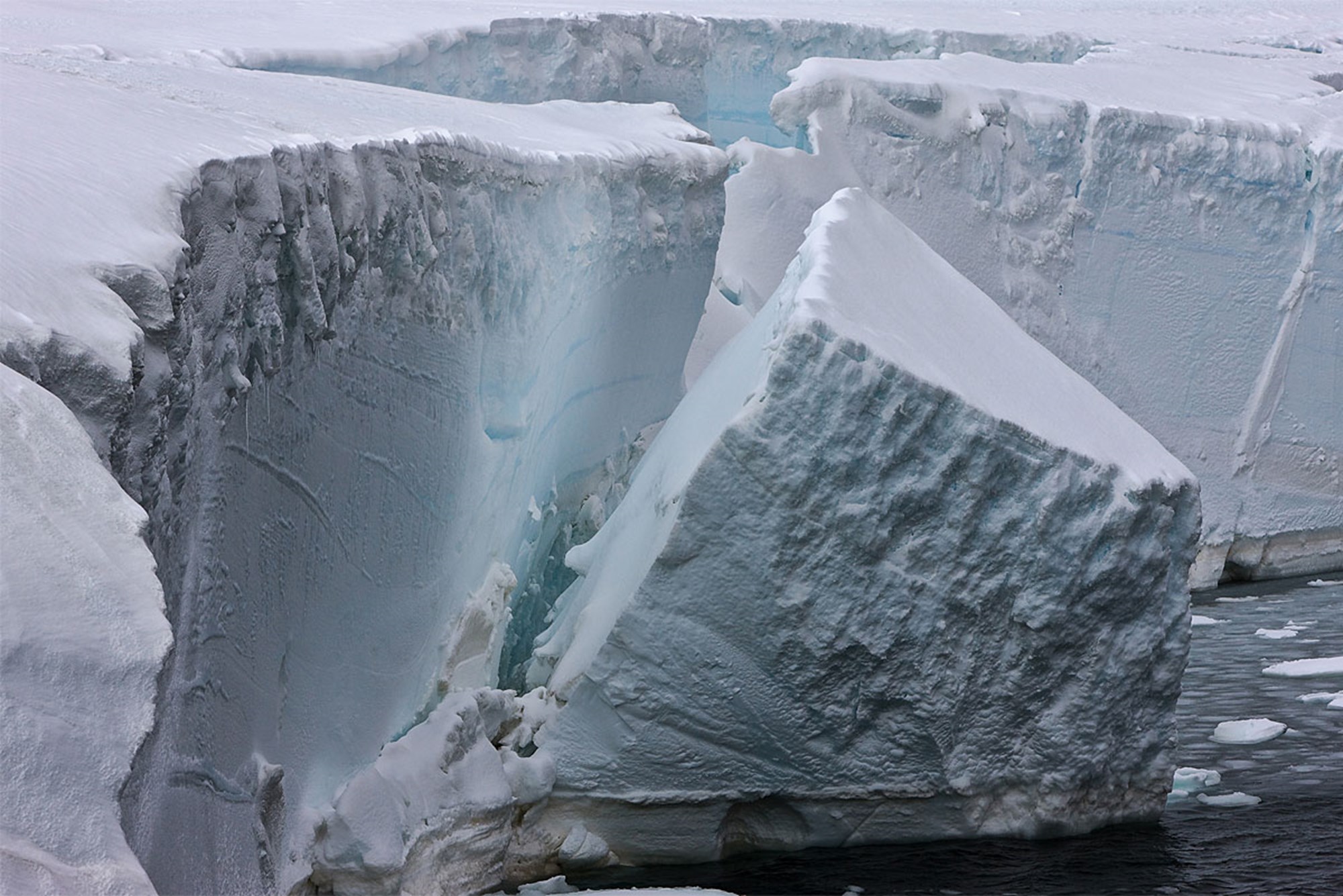 Antarktis Schmilzt Dramatisch Schneller Klimawandel Derstandard At