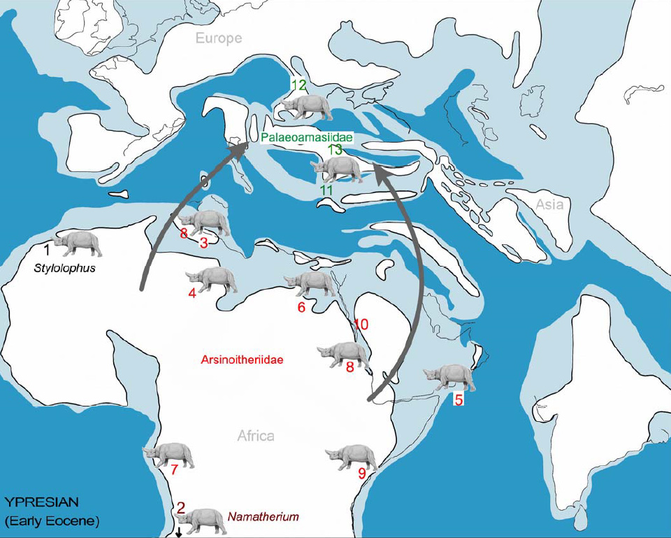 Vor den Elefanten: Die ersten Riesen der "Insel Afrika" - Paläontologie ...