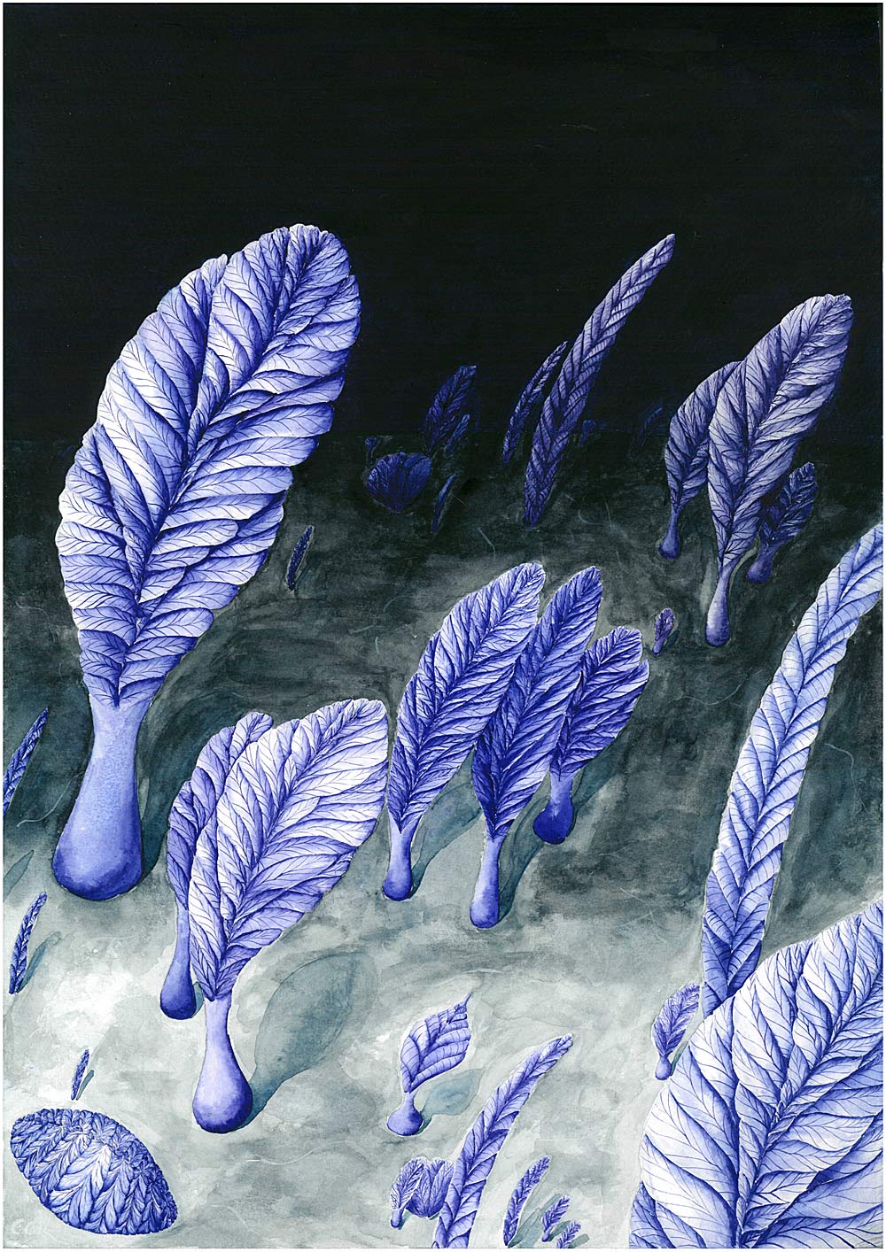 Warum die ersten Lebewesen größer wurden - Natur - derStandard.de ...