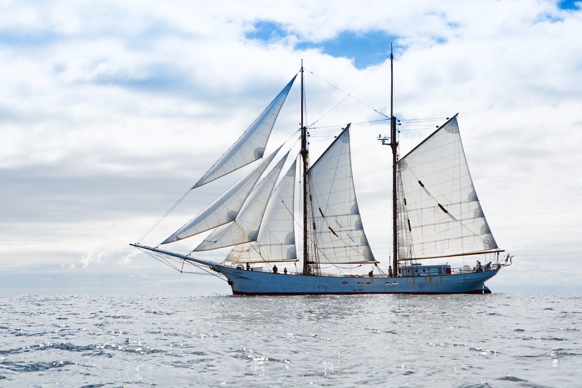 Volle Segel, volle Ladung - Transport & Logistik - derStandard.de ...