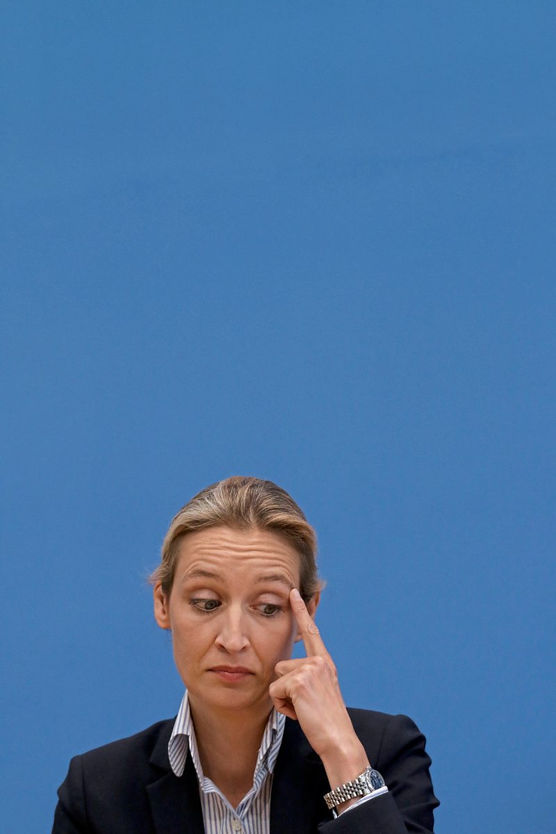 AfD-Fraktionschefin Weidel weist Vorwürfe in der Spendenaffäre zurück ...