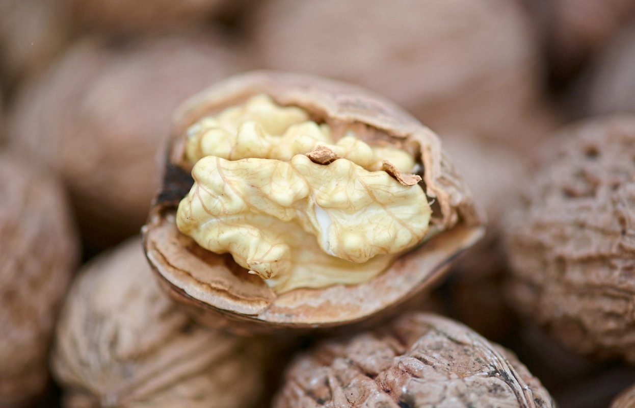 Warum Walnüsse gesund sind - Ernährung - derStandard.de › Wissen und ...