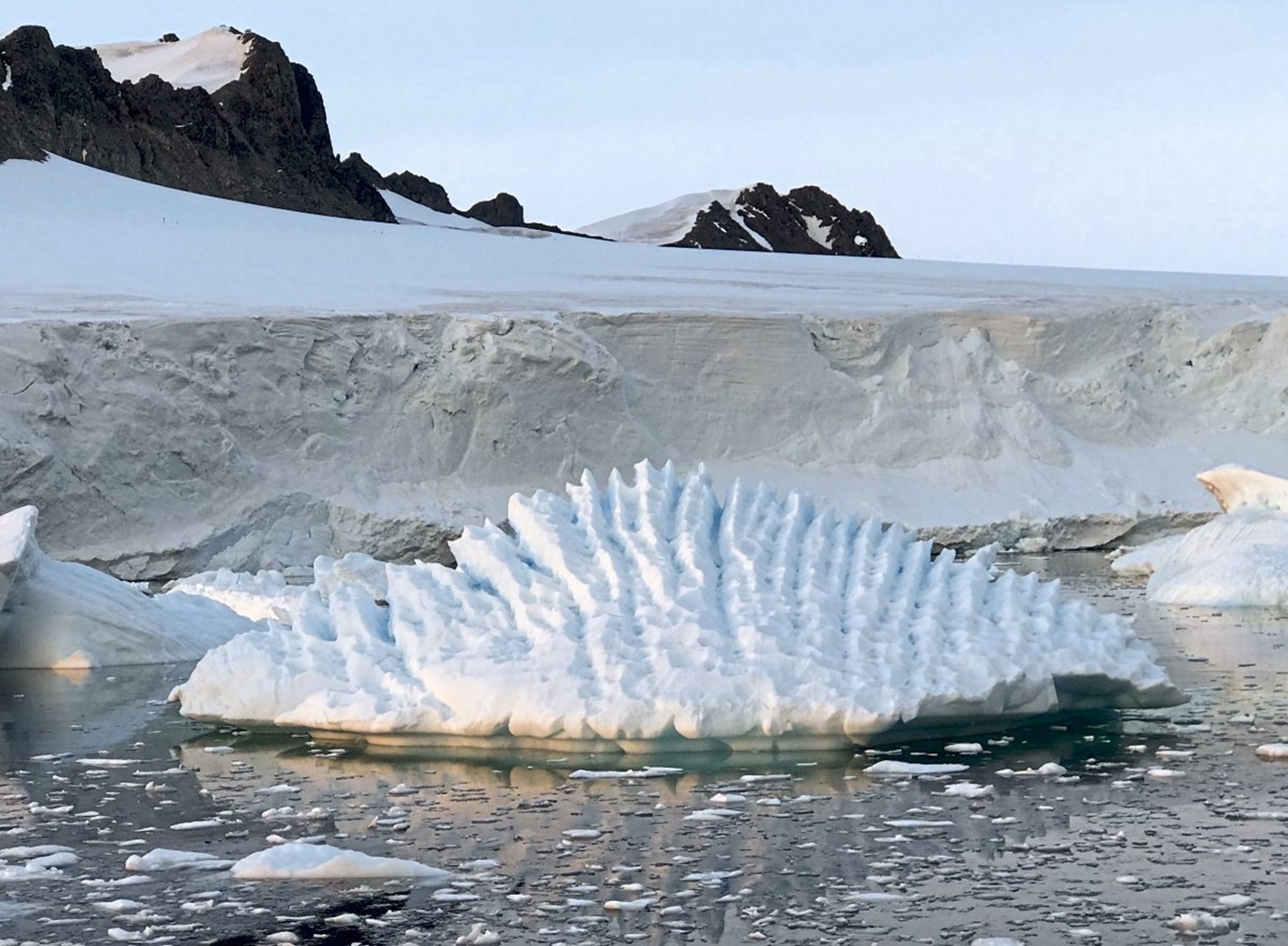 Eis Der Antarktis Schmilzt Immer Schneller Klimawandel Derstandard