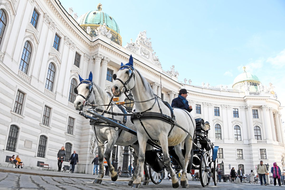 Wiener Fiaker rufen zum Protest - Wien - derStandard.at › Panorama