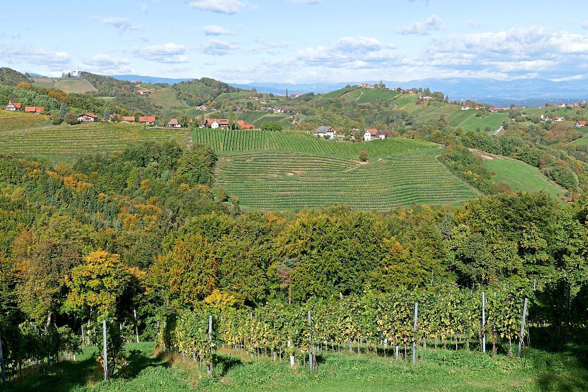 Weinwander-Tipp für die Südsteiermark: Im steilen Sausal - Urlaub in ...