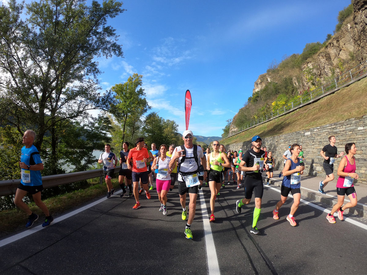 Traum- und Bilderbuchlauf: Der Wachau-Marathon 2019 - Rotte rennt ...