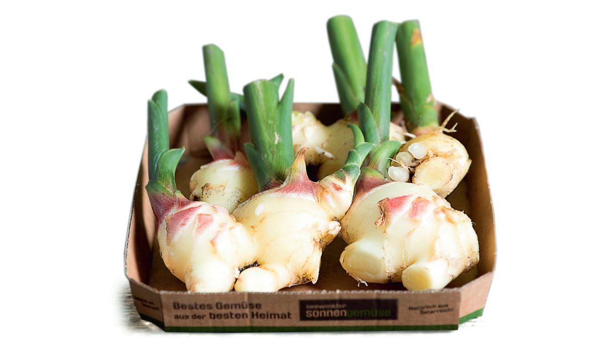 Frischer Ingwer aus der Region - Produkt der Woche - derStandard.at ...