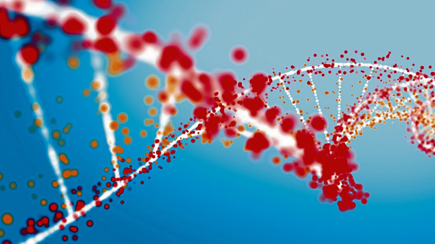 Wie die DNA zu ihrer Schleifenform kommt - Forschung Spezial ...