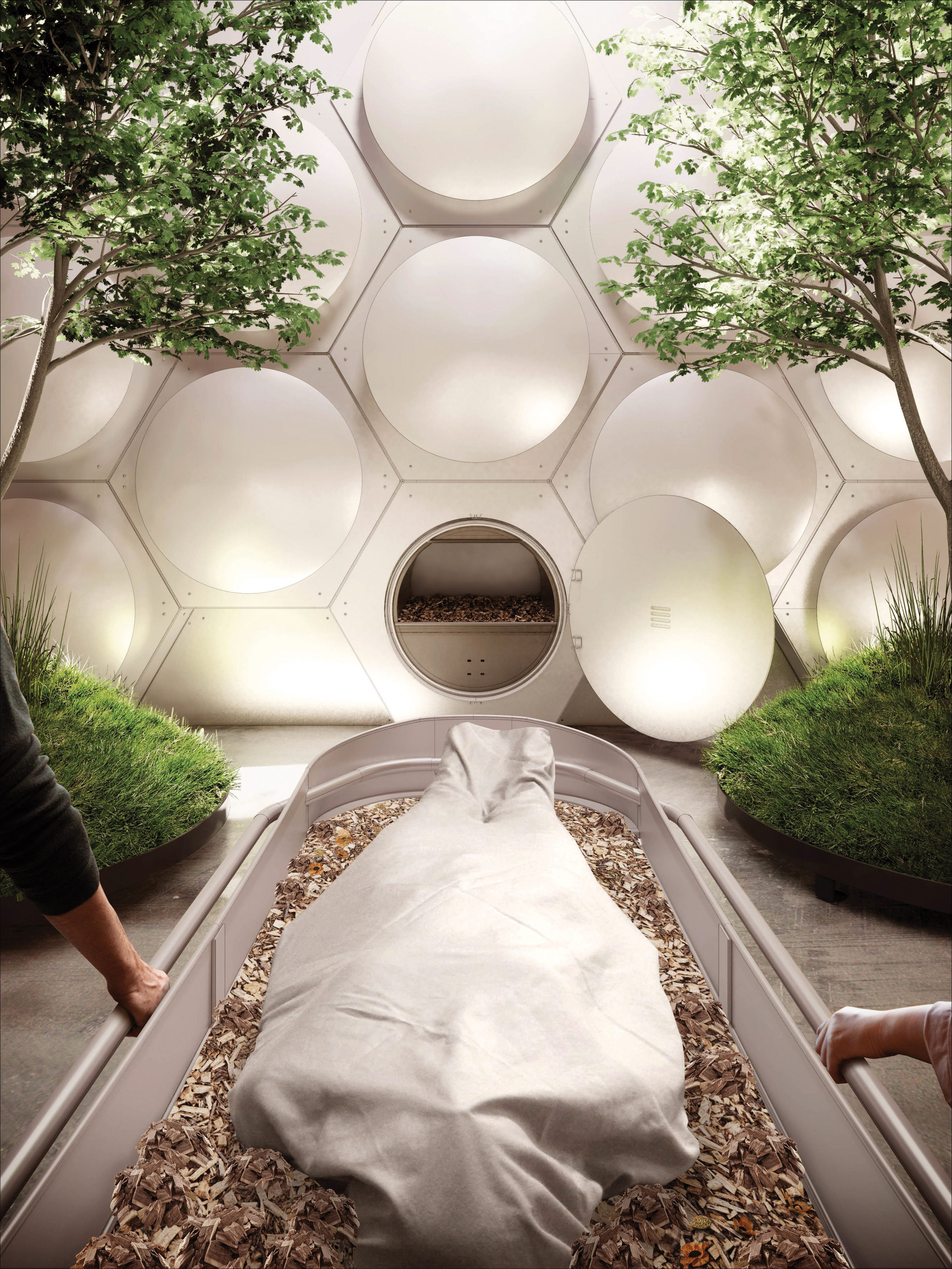 Die umweltfreundliche Bestattungsart: Menschliche Kompostierung ...